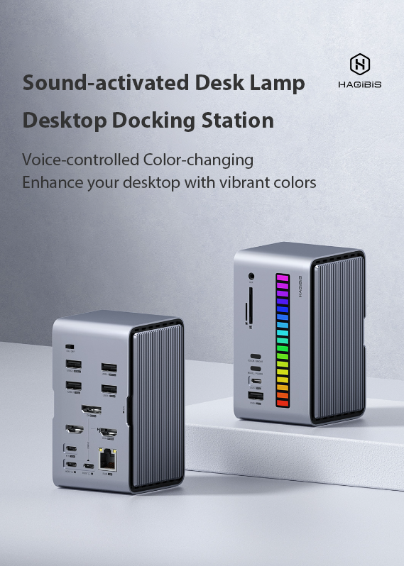 Hibiscus desktop pickup docking station M.2 hard disk box type-c ...